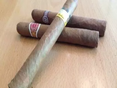 Do Cuban Cigars Have WEED In Them?
