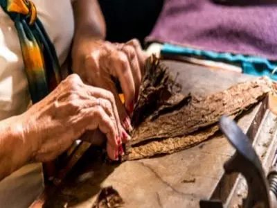 Hand Rolled Cigars - Best Options