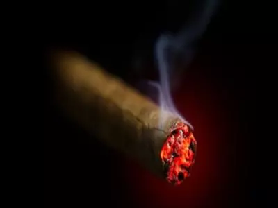 How To Spot Fake Cigars? A Complete Guide