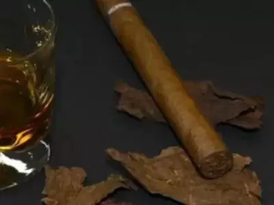 Cigar Wrappers - TYPES & How to Choose