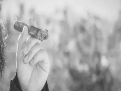 What Do Cigars Taste Like? - Types and Notes