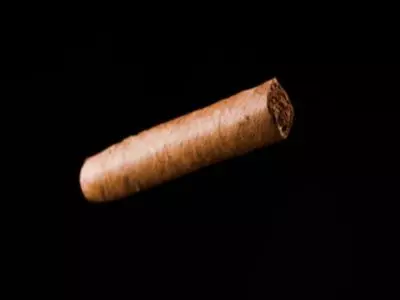 What Is A Stogie? Stogie Definition And Meaning