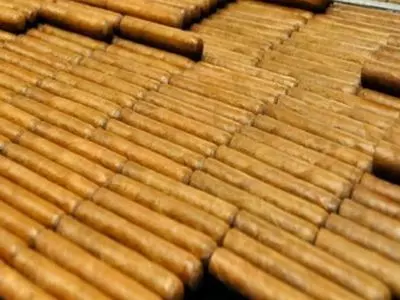 Who Invented Cigars? - HISTORY of Cigars