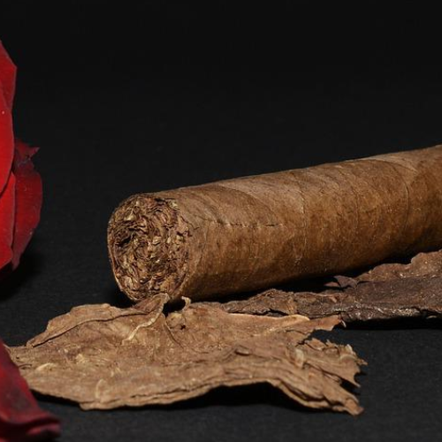 What Is A Toro Cigar? Ultimate Guide