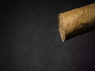 How To Keep Backwoods Fresh And Soft